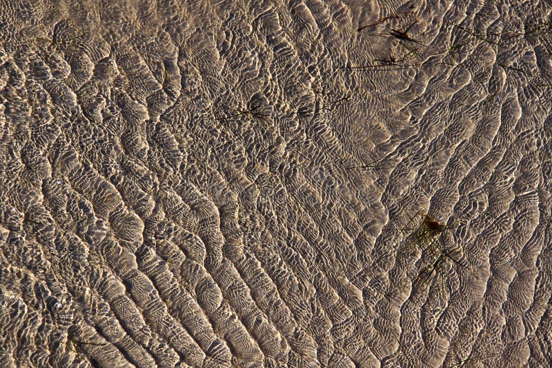 Background Texture - Water Ripples Over Sand Stock Image - Image of ...