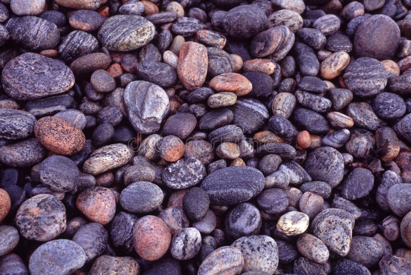 Background Texture of Water Worn Pebbles Stock Photo - Image of pebbles ...