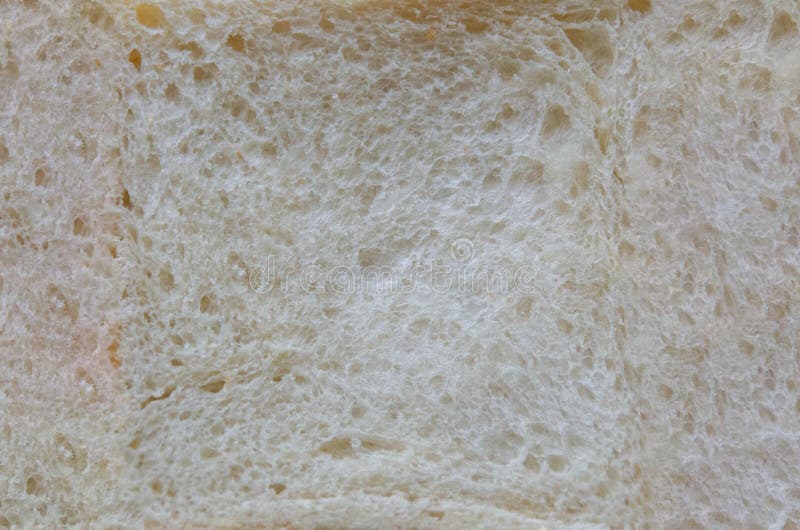 Background, Texture White As Bread. Background, Texture White As Bread ...