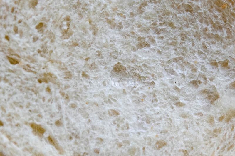 Background, Texture White As Bread. Background, Texture White As Bread ...