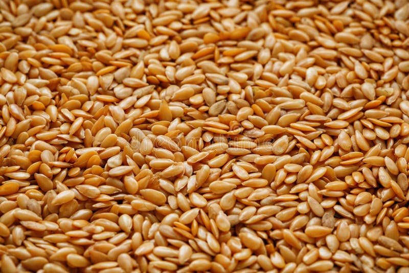 Background Texture of White Flax Seeds. Useful Cereals. Stock Photo ...