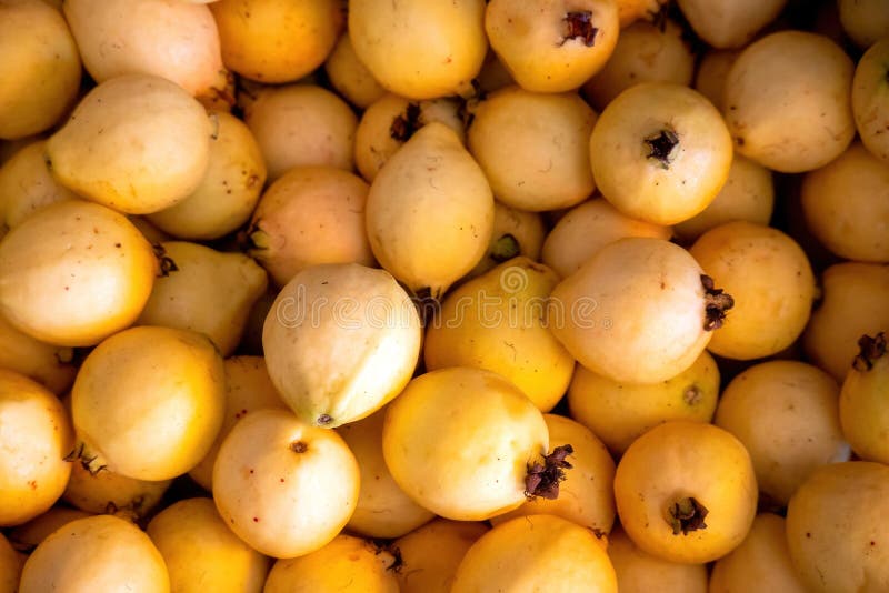 Background Texture of Whole Guavas with Copy Space Stock Image - Image ...