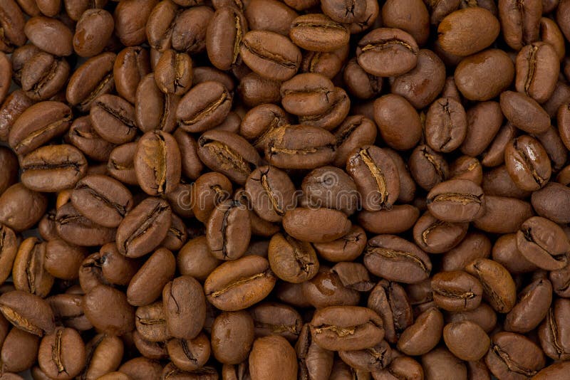 Light Roasted Coffee Beans stock image. Image of background - 145512723