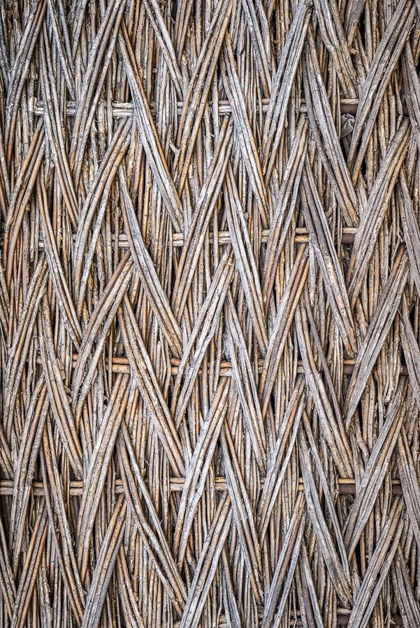 Wattle Tree Whole Stock Photos - Free & Royalty-Free Stock Photos from ...