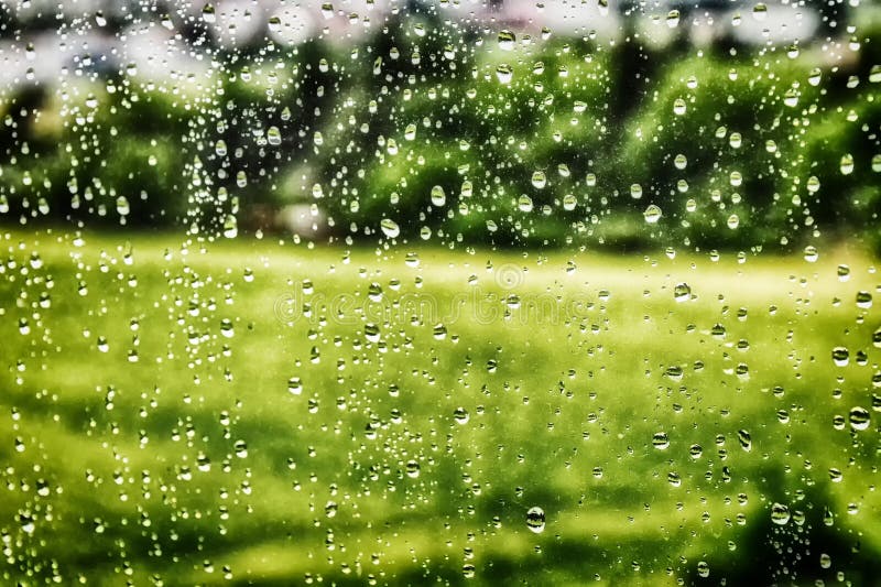 Spring Rain Wallpapers