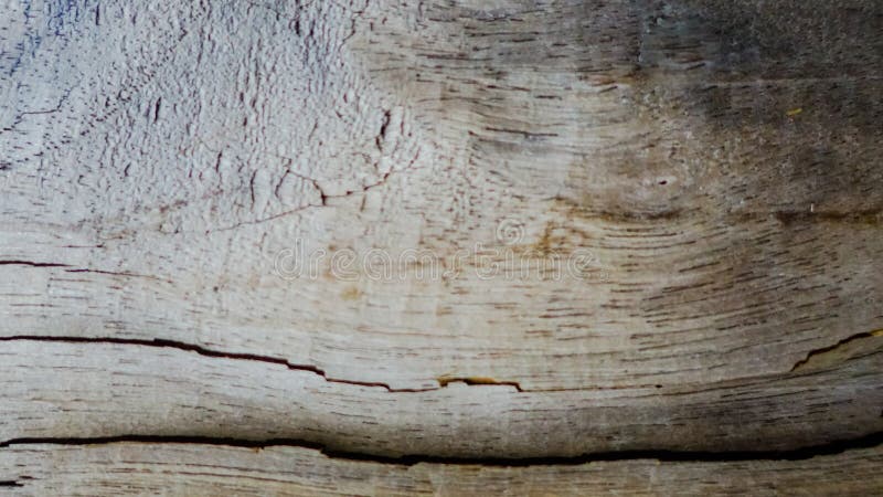 Background Texture of Wood Material in Closeup Picture, with Unique ...