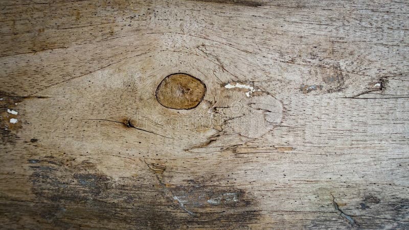 Background Texture of Wood Material in Closeup Picture, with Unique ...