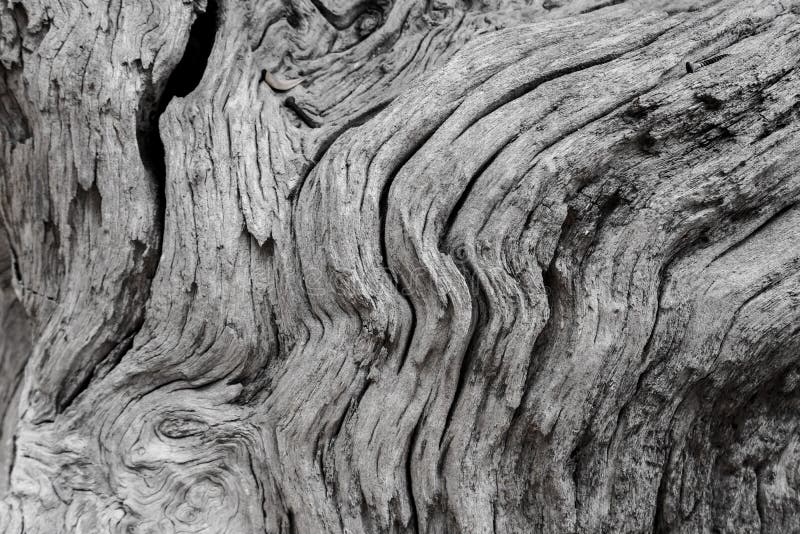 Background and texture stock image. Image of natural - 93451663