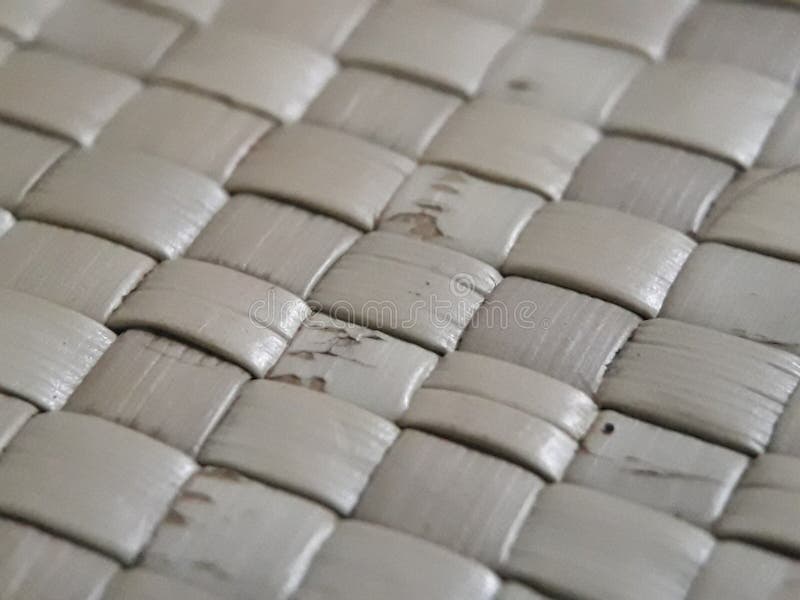 Pandan leaves stock photo. Image of aroma, pandan, leaves - 263133754