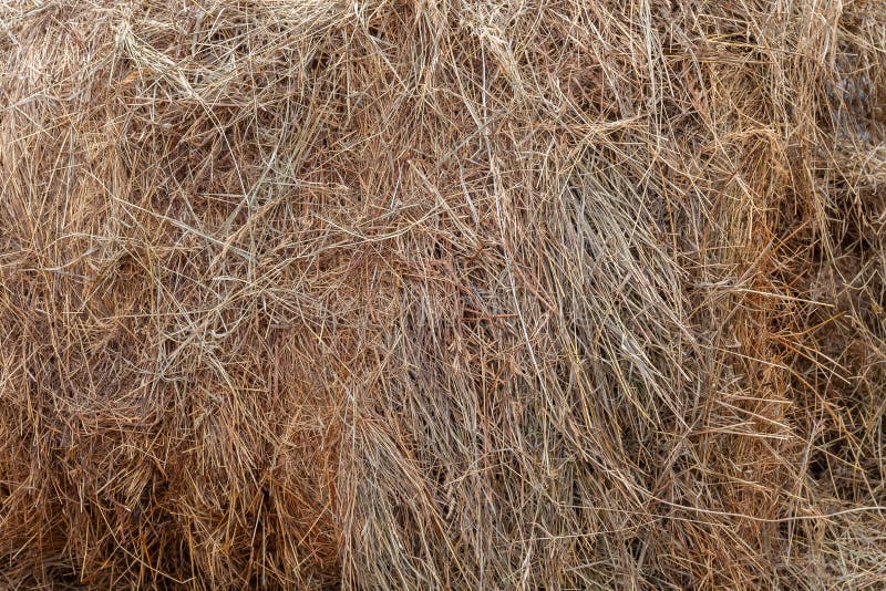 Background and Texture of Woven Hay of Dried Grass for Agricultural Use ...