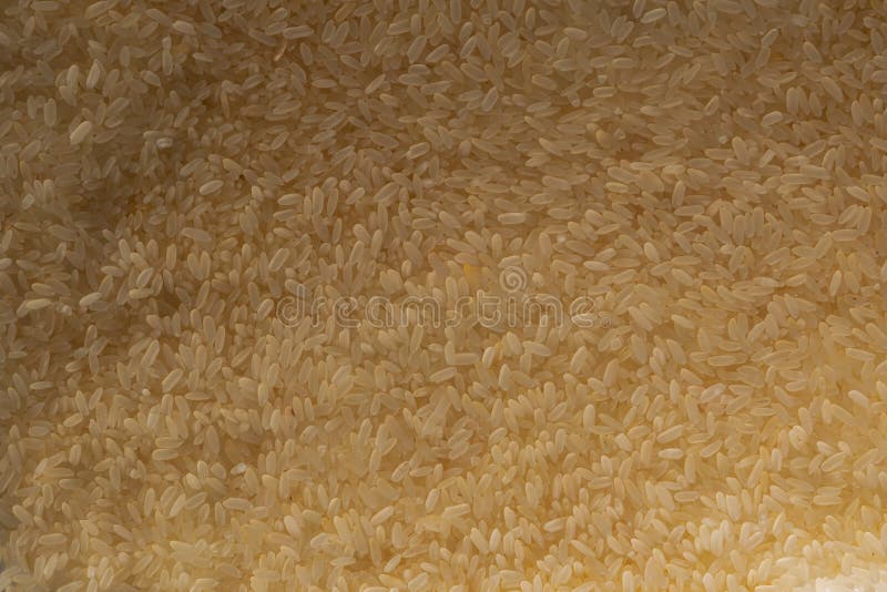 Background of Textured Rice Grains, Filled with a Layer. Stock Photo ...