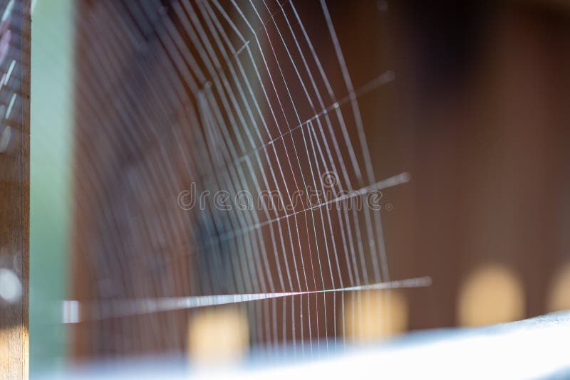 Spider Web at Dawn on Hand Rail Stock Photo - Image of shingal, work ...