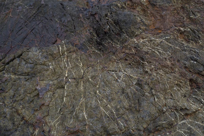 Background and Textures of Rock or Stone with Shells on the Seaside ...