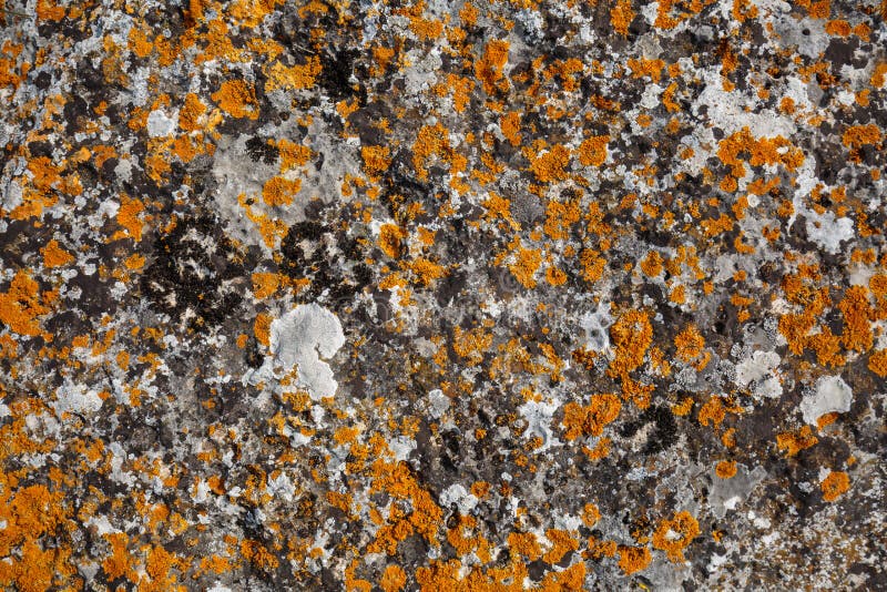 Background Textures. Stone Texture Close-up with Colorful Spots Stock ...