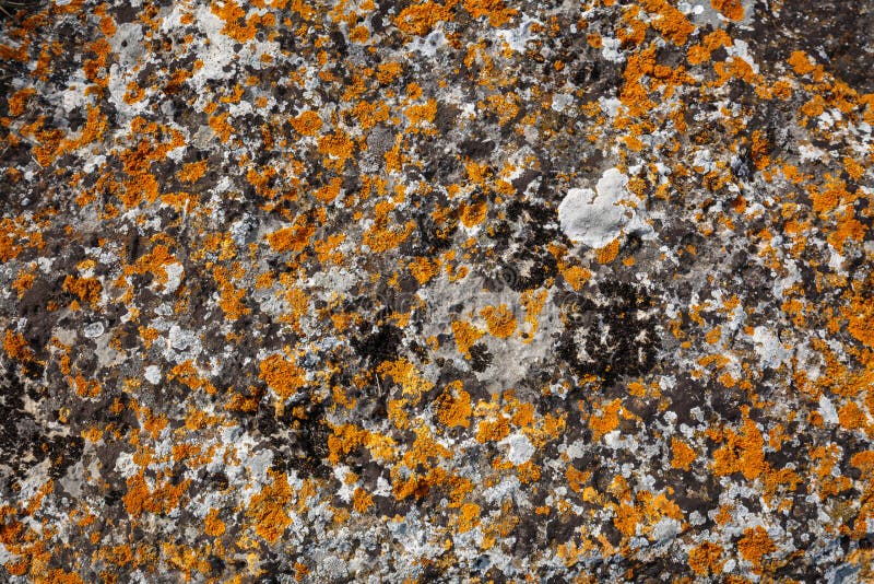 Background Textures. Stone Texture Close-up with Colorful Spots Stock ...