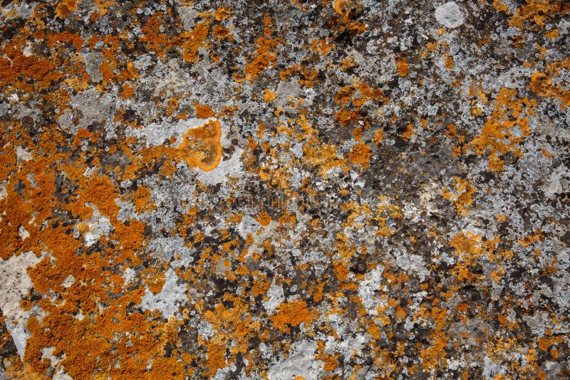 Background Textures. Stone Texture Close-up with Colorful Spots Stock ...