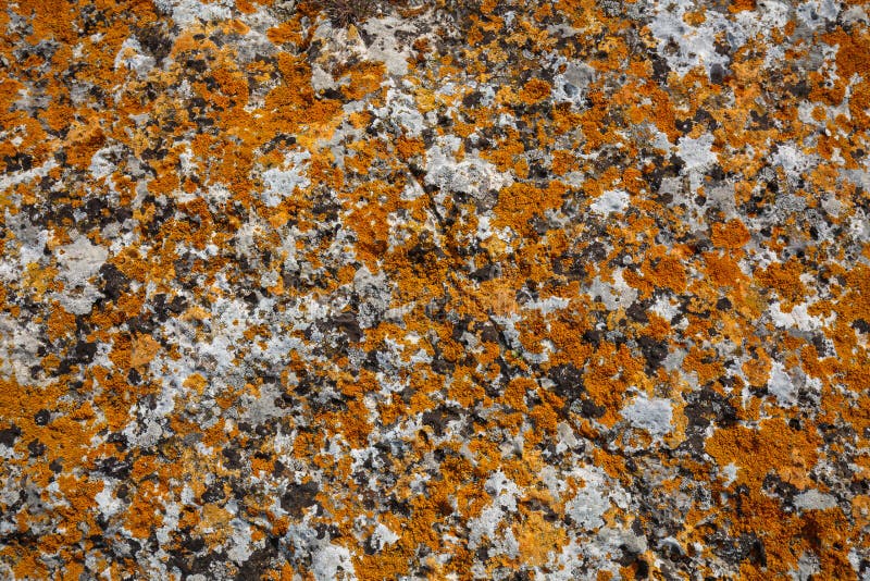 Background Textures. Stone Texture Close-up with Colorful Spots Stock ...