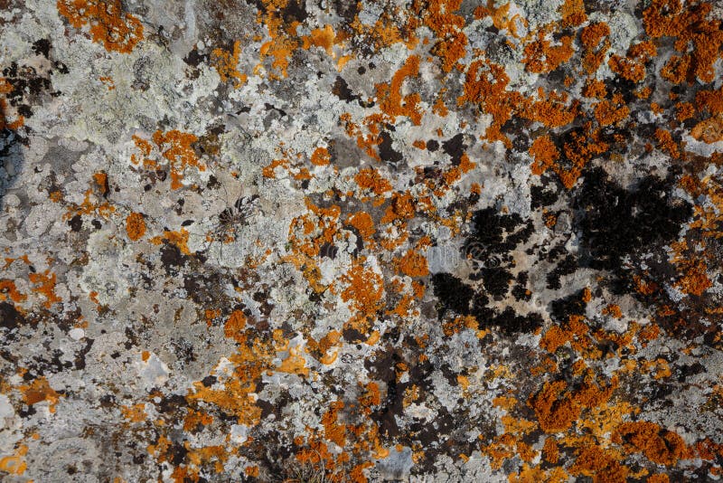 Background Textures. Stone Texture Close-up with Colorful Spots Stock ...