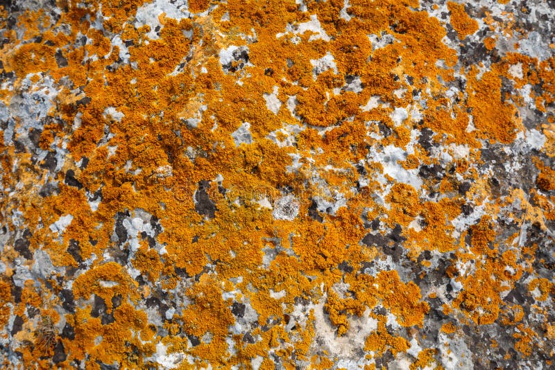 Background Textures. Stone Texture Close-up with Colorful Spots Stock ...