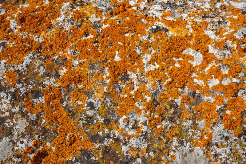 Background Textures. Stone Texture Close-up with Colorful Spots Stock ...