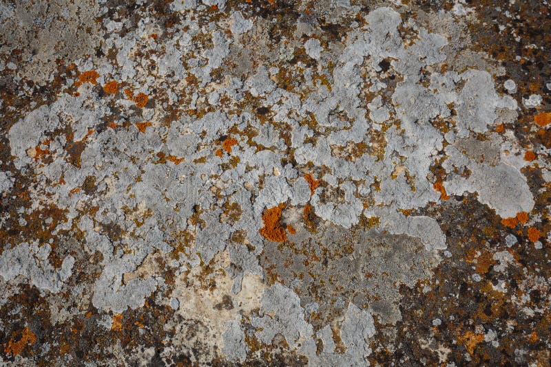 Background Textures. Stone Texture Close-up with Colorful Spots Stock ...