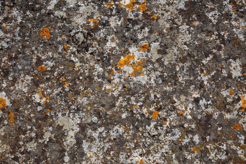 Background Textures. Stone Texture Close-up with Colorful Spots Stock ...