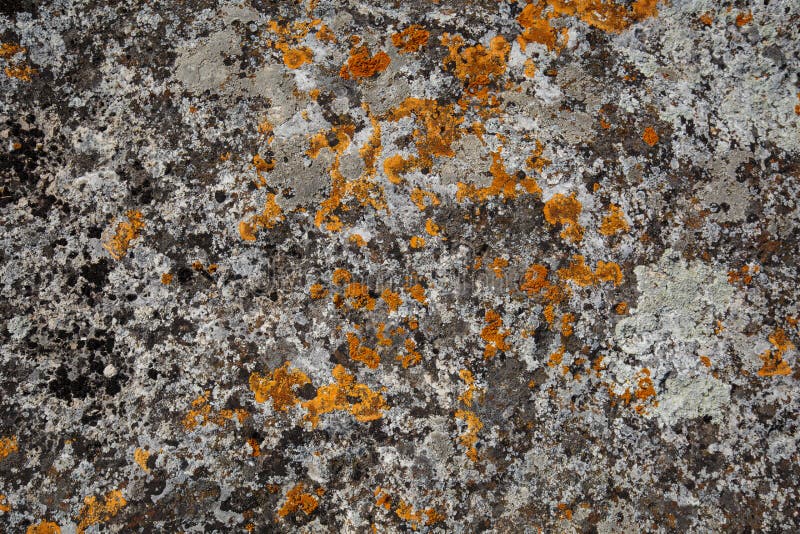 Background Textures. Stone Texture Close-up with Colorful Spots Stock ...