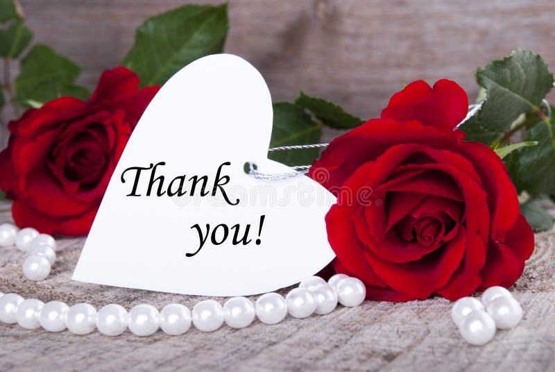 794 Thank You Red Roses Stock Photos - Free & Royalty-Free Stock Photos ...