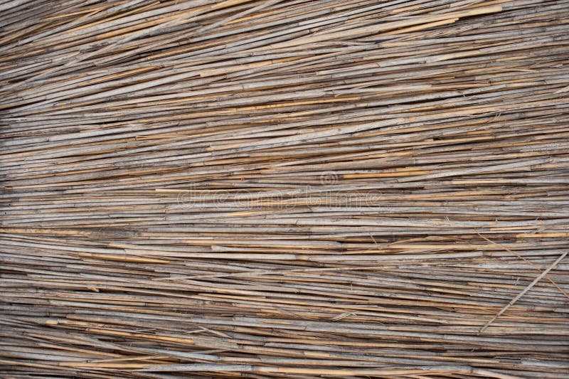 Background of Thatched Roof, Dry Grass or Hay. Texture of Dried Grass ...