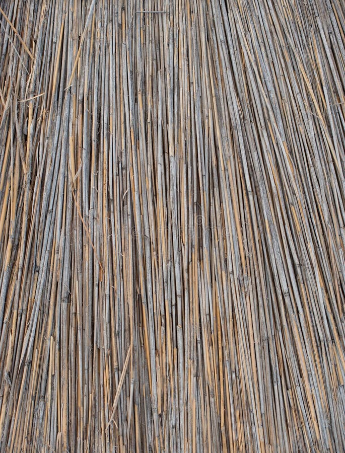 Background of Thatched Roof, Dry Grass or Hay. Texture of Dried Grass ...