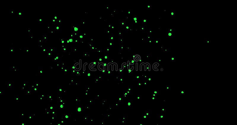 A Thousand of Stars Glowing in a Back Backdrop. Stock Footage - Video ...