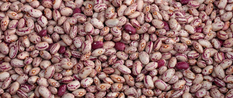 Background Thousands of Trash Bags Stock Image - Image of landfill ...