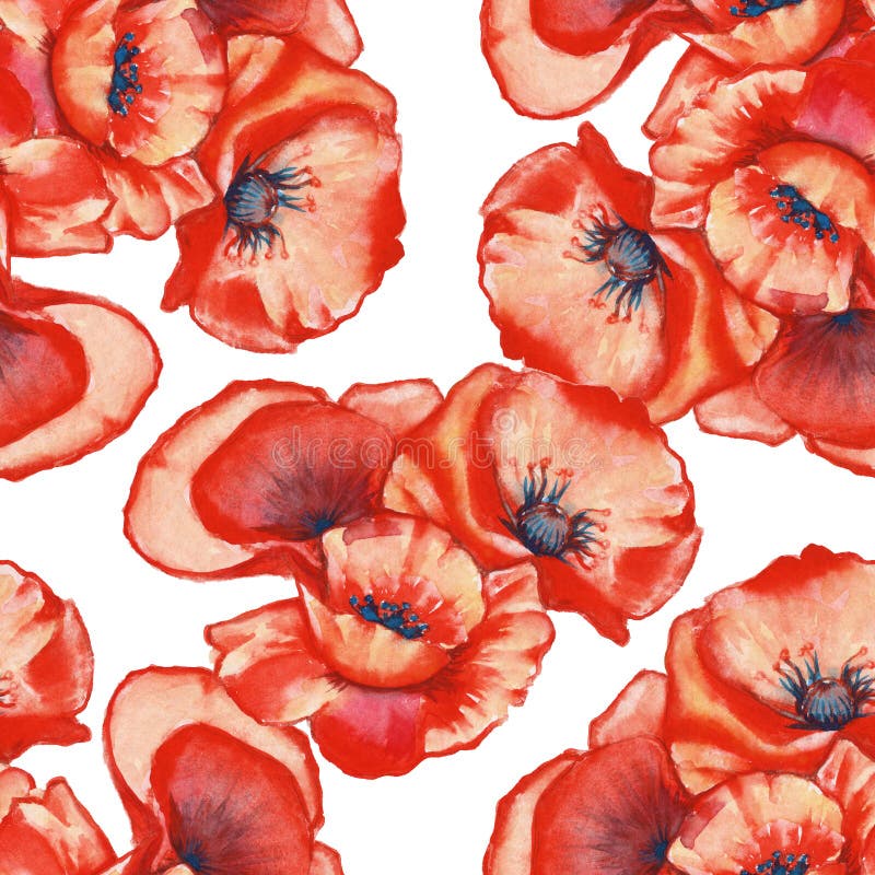 Background Three Poppy. Seamless Pattern. Watercolor Illustratio Stock ...