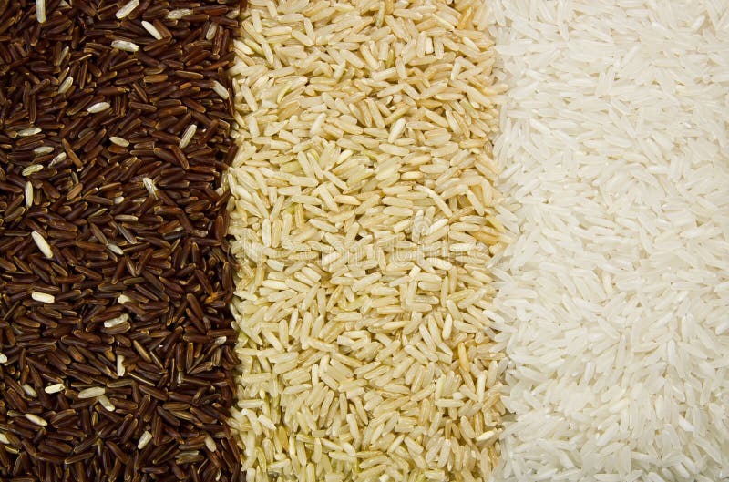 Background Three Rice Varieties Stock Photo - Image of cereal, organic ...
