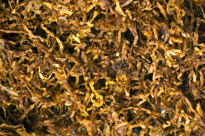Background of tobacco stock image. Image of abuse, lifestyle - 1653265