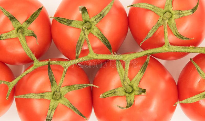 Tomatoes background stock photo. Image of food, eating - 110309036