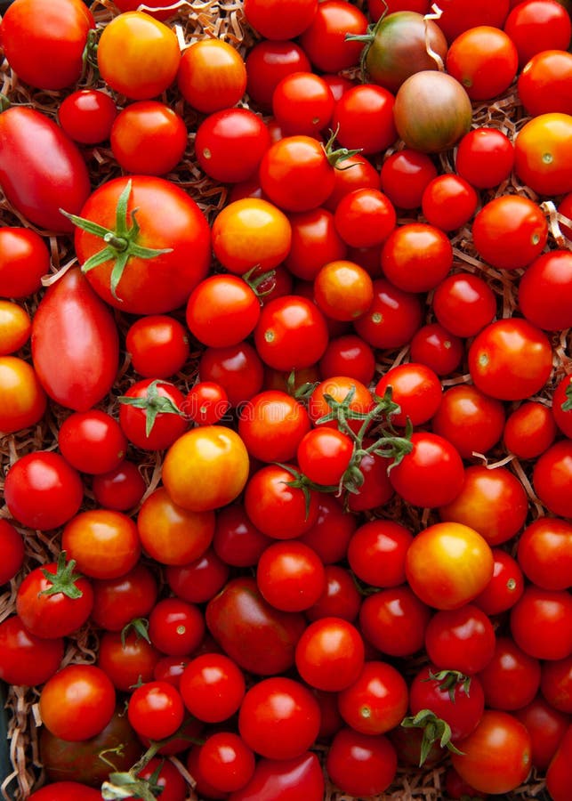 Background of Tomatoes. Texture of Fresh Organic Tomatoes Stock Image ...