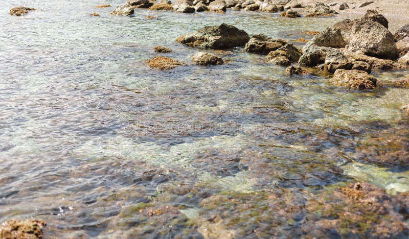 Background of Transparent Sea Water and Bottom, with Stones and Waves ...