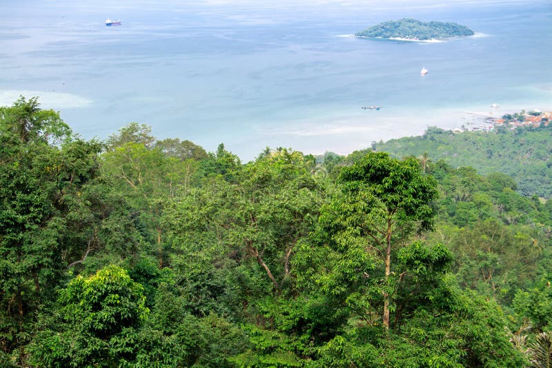 The Background of the Treetops in the Mountains Stock Photo - Image of ...