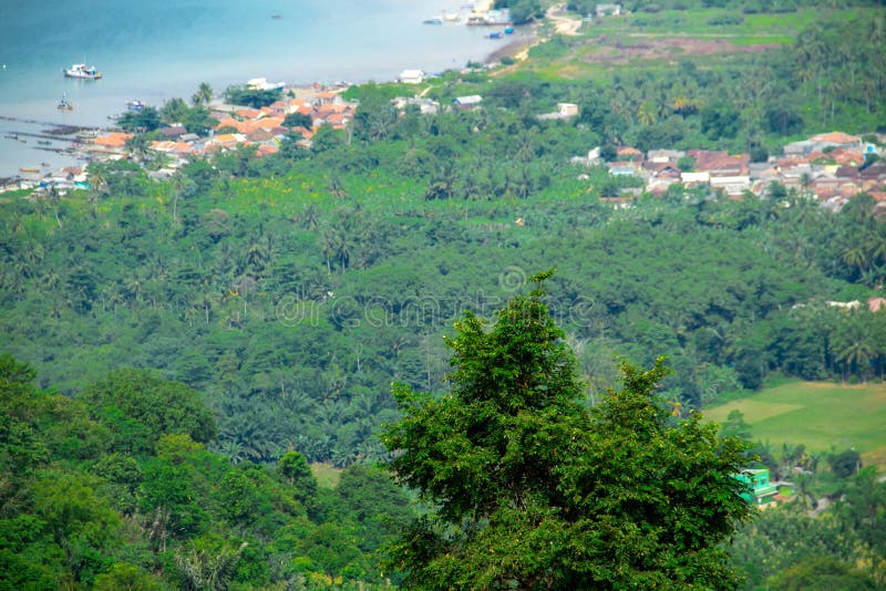 The Background of the Treetops in the Mountains Stock Photo - Image of ...