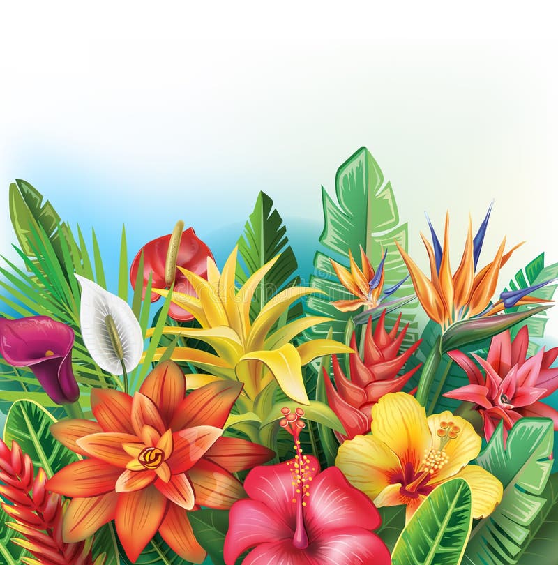 Background from Tropical Flowers Stock Vector - Illustration of green ...