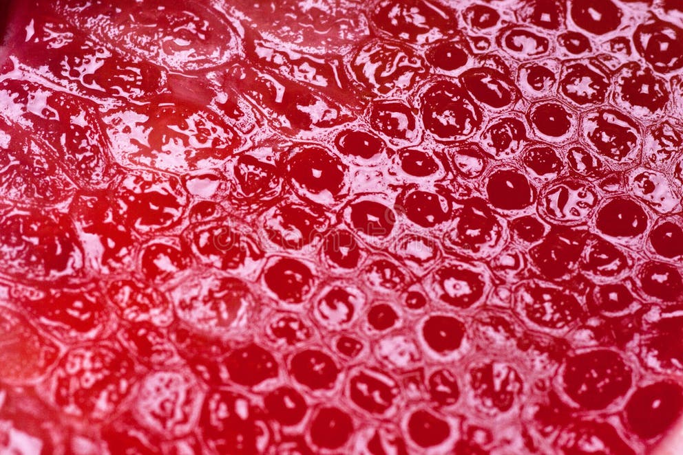 Background is a Tropical Fruit of Grapefruit. Stock Photo - Image of ...