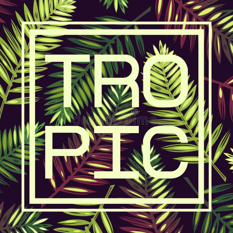 Background with Tropical Palm Leaves and Frame. Card. Tropic Stock ...