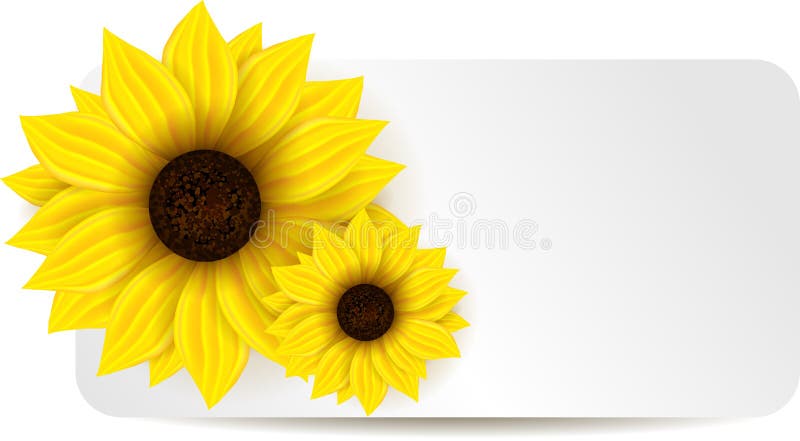 Background with Two Sunflowers Stock Vector - Illustration of deco ...