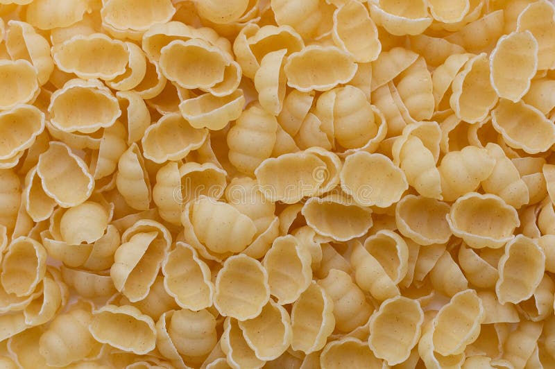 Background of Uncooked Pasta Conchiglie. Dry Pasta in the Shape of ...