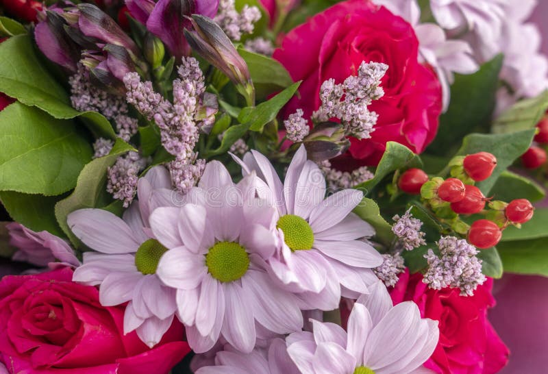 Background of Various Flowers of Different Colors Close-up Stock Photo ...