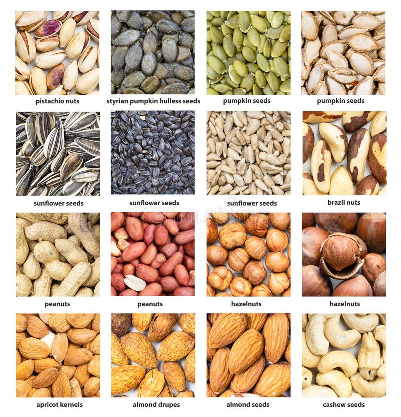 Background - Various Nuts with Names Close Up Stock Image - Image of ...