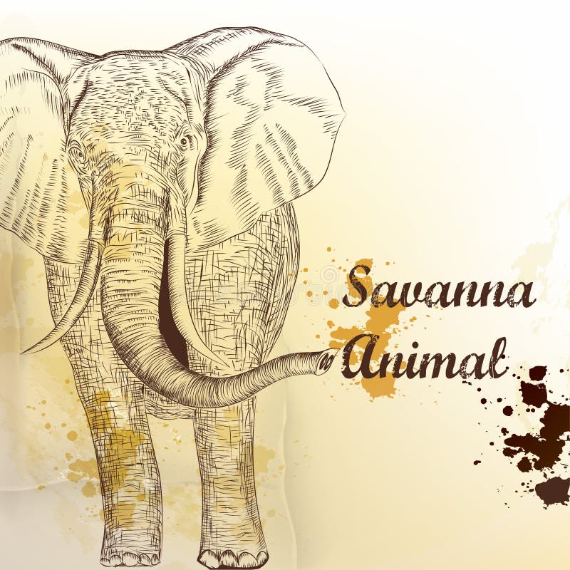 Background with Vector Hand Drawn Elephant Stock Vector - Illustration ...