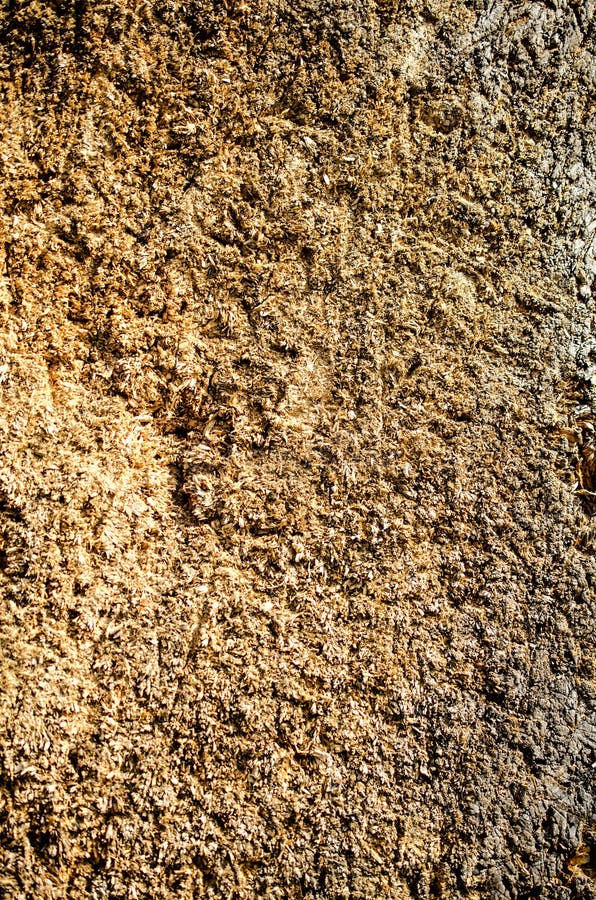 Background Very Decrepit Cracked Wood. Stock Photo - Image of vintage ...