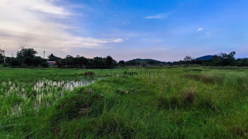 Background View of a Village Area Stock Photo - Image of outdoor ...